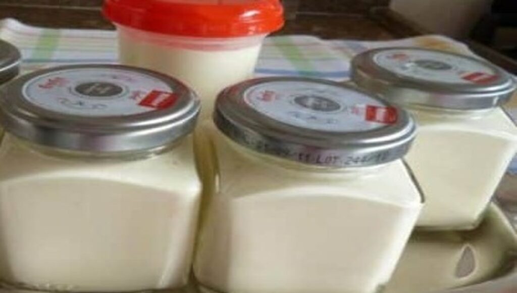 Requeijão Caseiro Cremoso com 2 ingredientes, em 5 minutos